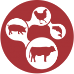 Services | Morasch Meats